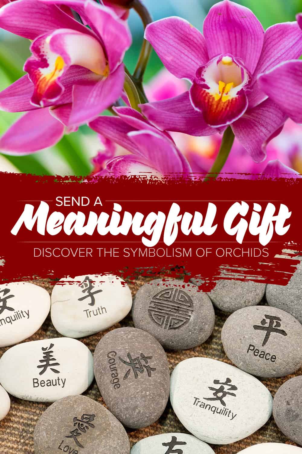 Phoenix Flower Shops' Guide to Orchids - Phoenix Flower Shops